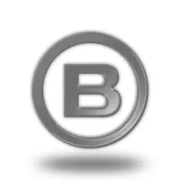 bernART graphique Overview | SignalHire Company Profile