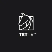 TRT Solutions AB Overview | SignalHire Company Profile