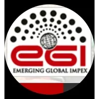 EMERGING GAME STUDIO Overview | SignalHire Company Profile