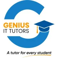 Genius It Solution Overview | SignalHire Company Profile