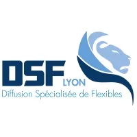 DSF Lyon Overview | SignalHire Company Profile