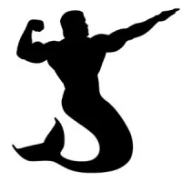 Merman Pools, LLC Overview | SignalHire Company Profile