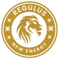 Regulus Limitada Overview | SignalHire Company Profile
