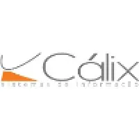 Calix Infrastructure Overview | SignalHire Company Profile
