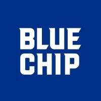 Blue Chip Brand Works Overview | SignalHire Company Profile