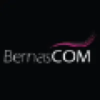 bernART graphique Overview | SignalHire Company Profile