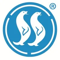 Stein Registered Auditors Overview | SignalHire Company Profile