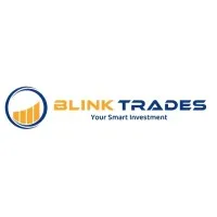 Blink Tecnologia sob Medida Overview | SignalHire Company Profile
