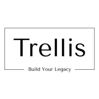 Trellis Strategies Consulting Overview | SignalHire Company Profile