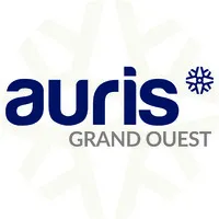 Auris Energia Overview | SignalHire Company Profile