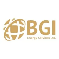 BGI Benchmark Group International Overview | SignalHire Company Profile