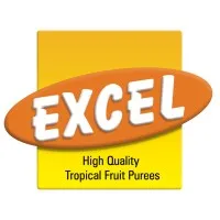 Excel Fire Protection Systems Overview | SignalHire Company Profile