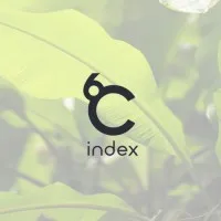 6C Distribution Overview | SignalHire Company Profile