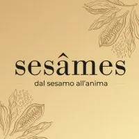 SESAMEE MEXICANA Overview | SignalHire Company Profile