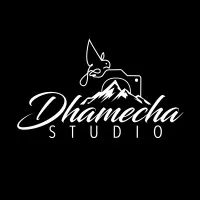 Dhamecha Group Overview | SignalHire Company Profile