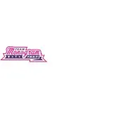 MONOGRAM SYSTEMS/DIVISIONS OF MAG AEROSPACE INDUSTRIES INC Overview ...