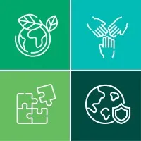 Green Cities and Infrastructure Programme Overview | SignalHire Company ...