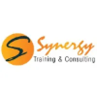 Synergy Trading BV Overview | SignalHire Company Profile