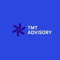 TMT Advisory Services Overview | SignalHire Company Profile