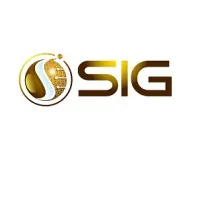 SIG Solutions Overview | SignalHire Company Profile