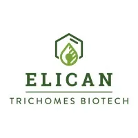 Elica PROcessing Overview | SignalHire Company Profile