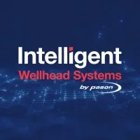 Intelligent Wellhead Systems Overview | SignalHire Company Profile