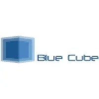 Blue Cube Innovations Overview | SignalHire Company Profile