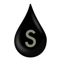 Stronghold Cyber Security Overview | SignalHire Company Profile