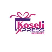 Koseli Xpress Overview | SignalHire Company Profile