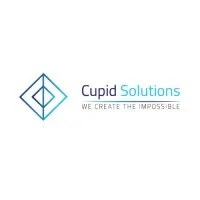 CUPIC CUSTOM HOMES Overview | SignalHire Company Profile