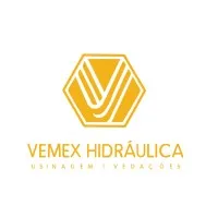 Vemex Hidráulica Overview | SignalHire Company Profile