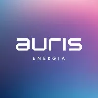 Auris Energia Overview | SignalHire Company Profile