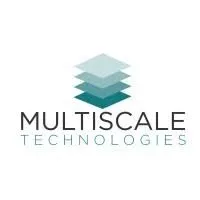 Multiscale Systems Overview | SignalHire Company Profile