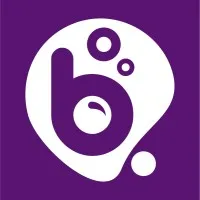 Bubblez Planejamento Digital Overview | SignalHire Company Profile