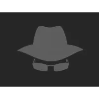 Gray Hair Games LLC Overview | SignalHire Company Profile