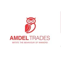 Amdel Trades Overview | SignalHire Company Profile