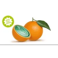 Easytech Innovation Overview | SignalHire Company Profile