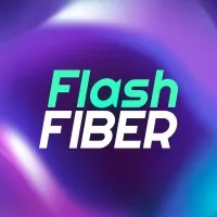 Flash Express Vietnam Overview | SignalHire Company Profile