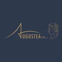 AUGUSTEA IMPRESE MARITTIME E DI SALVATAGGI SPA Overview | SignalHire ...