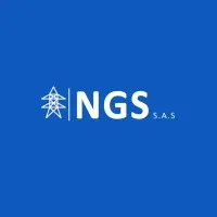 NGS Global Axis Pvt Ltd Overview | SignalHire Company Profile