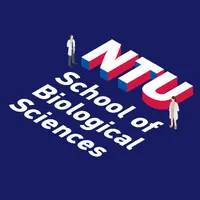 NTU School of Biological Sciences Email Format | Ntu.edu.sg Emails