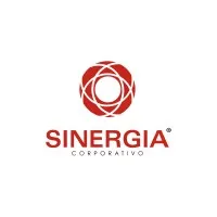 Sinergia Consultoría Logística, Implementación de Sistemas- Capacitaciones y Otros Servicios ...
