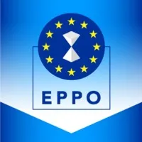European Public Prosecutor's Office (EPPO) Email Format | Eppo.europa ...