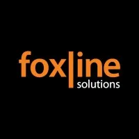Foxlike Development Overview | SignalHire Company Profile