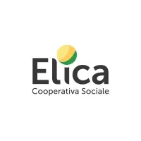 Elica PROcessing Overview | SignalHire Company Profile